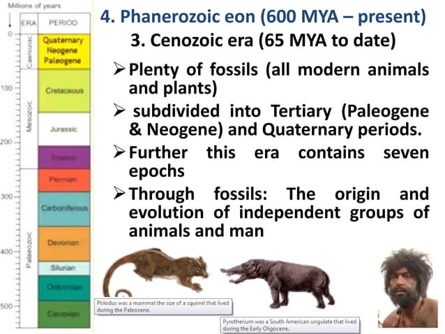Geologic time scale and extinction | PDF | Geology | Science