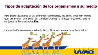 3 Biodiversidad Adaptación Y Comportamiento Pptx