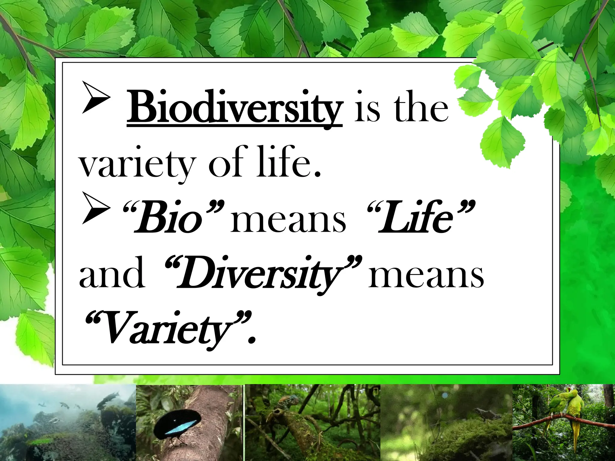 3 Biodiversity And Evolution Final Pptx