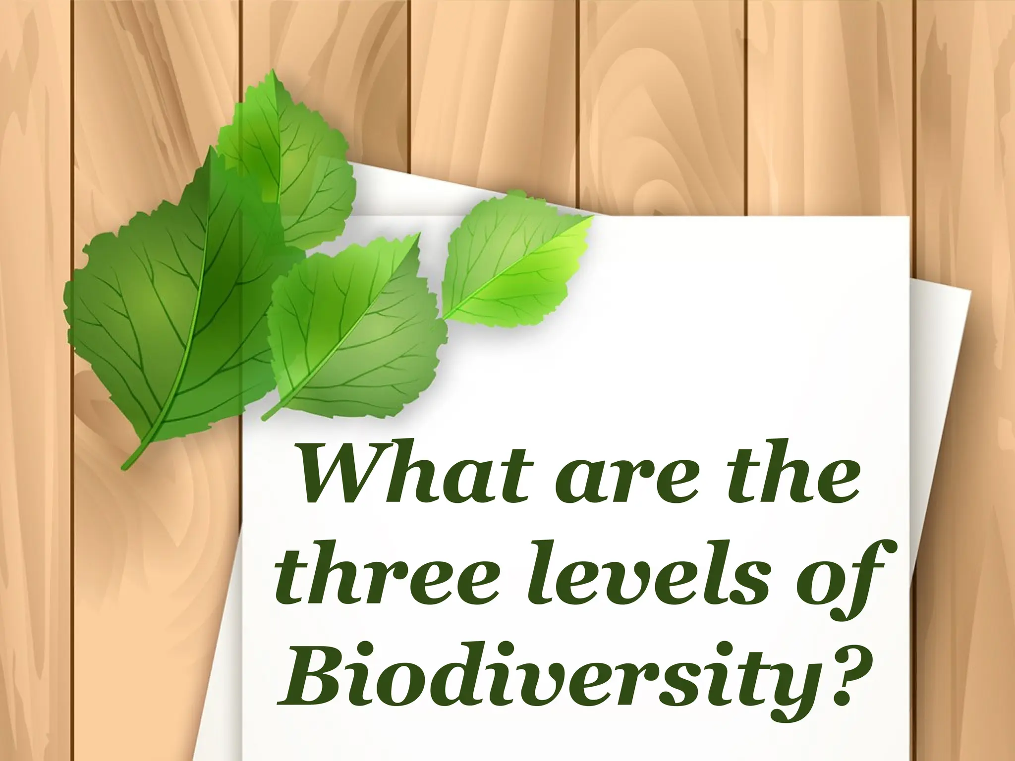 #3 Biodiversity and Evolution Final.pptx