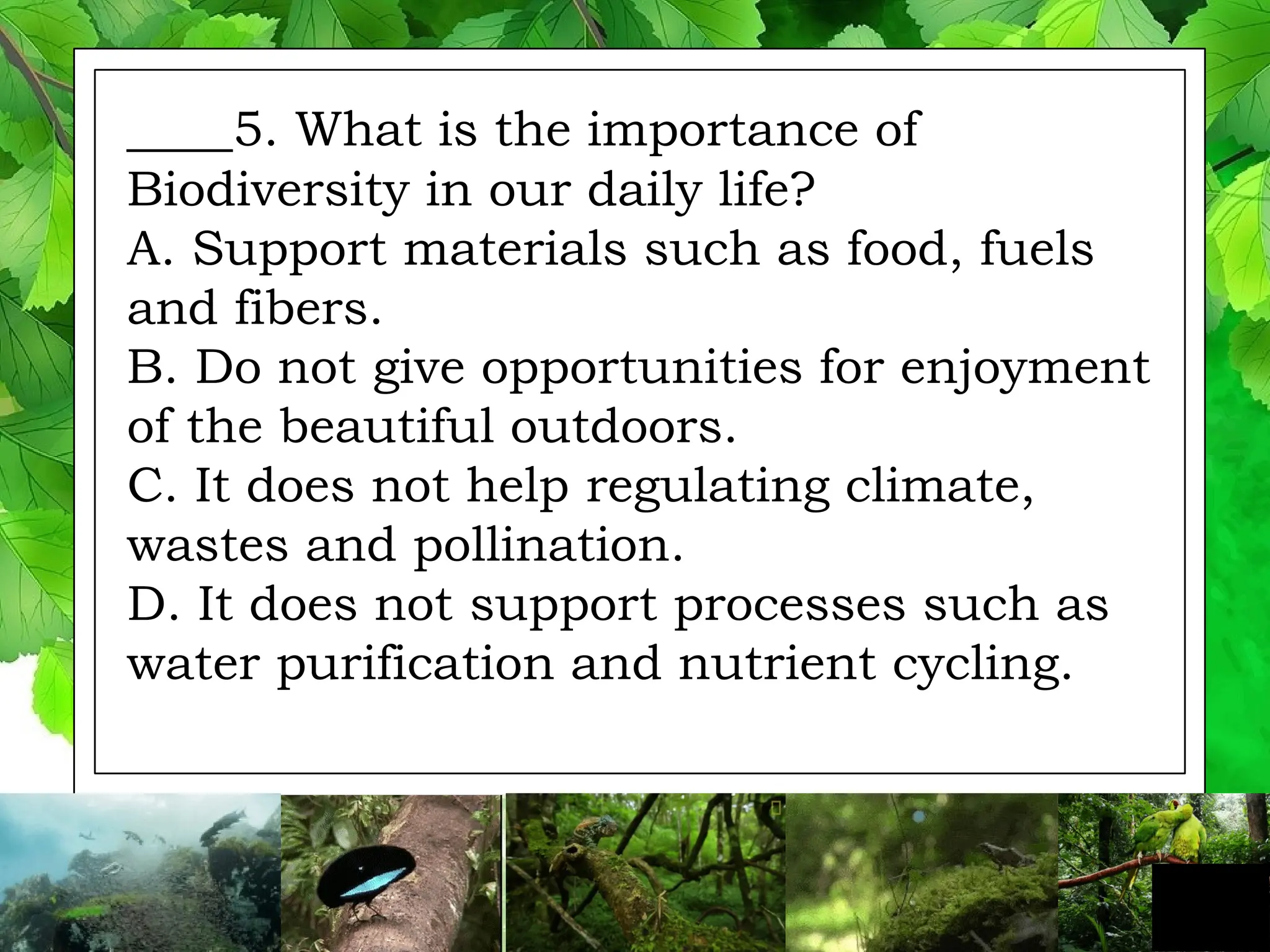#3 Biodiversity and Evolution Final.pptx | Geography | Science