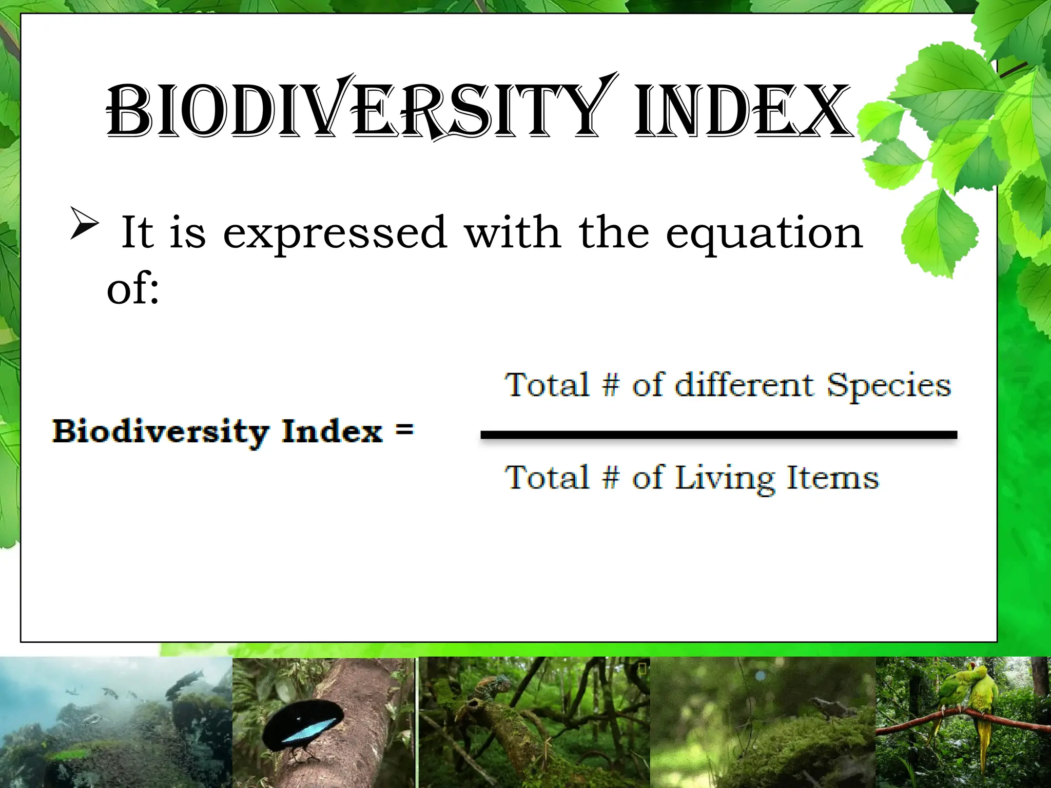 #3 Biodiversity and Evolution Final.pptx