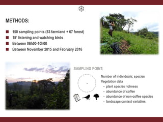 bird and mammal biodiversity SW Ethiopia, Patricia, Jimma 2018 | PPTX