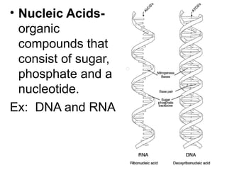 3 biological compounds | PPT