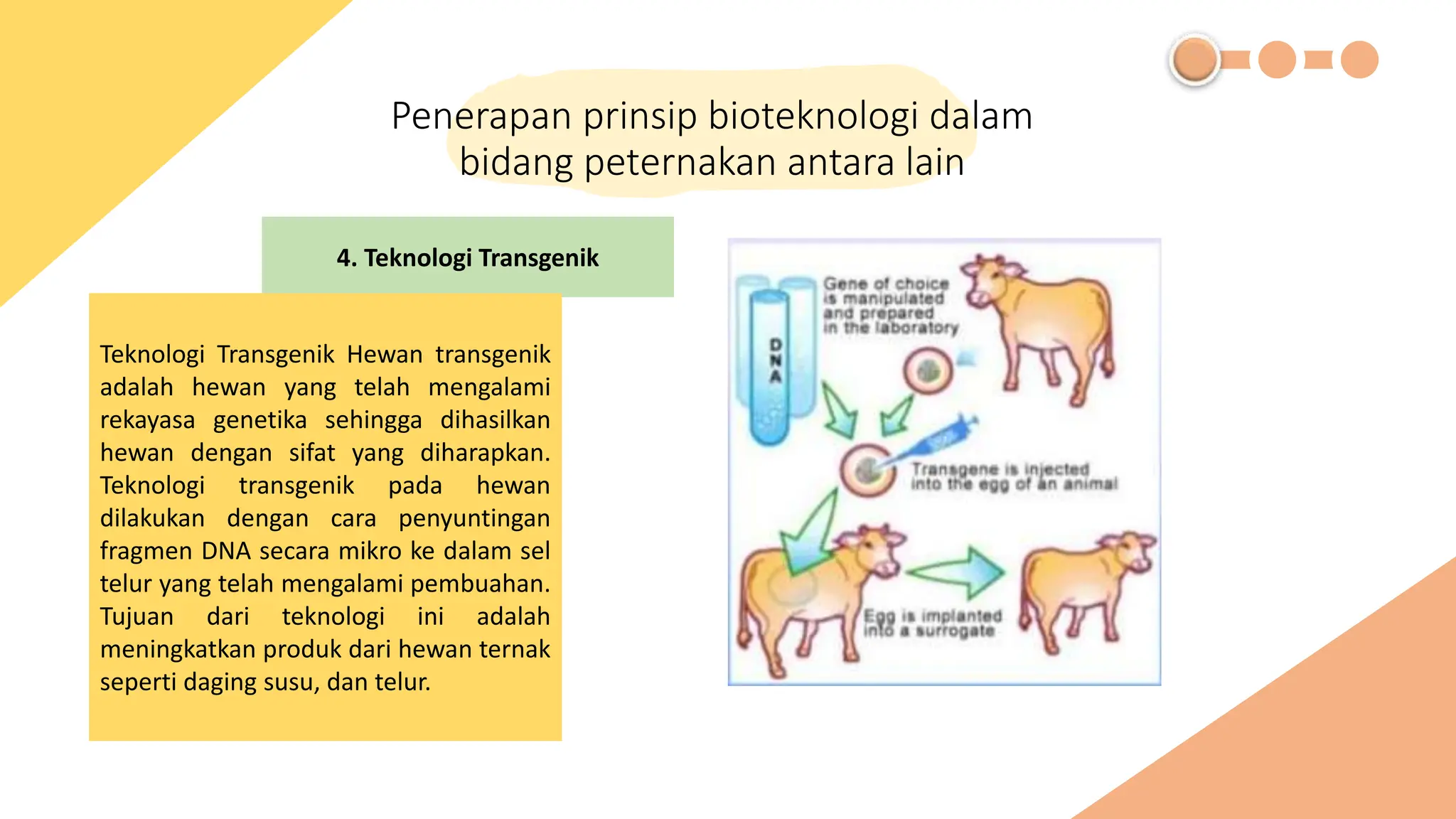 Bioteknologi Peternakan Salah satu Materi Biologi | PPTX