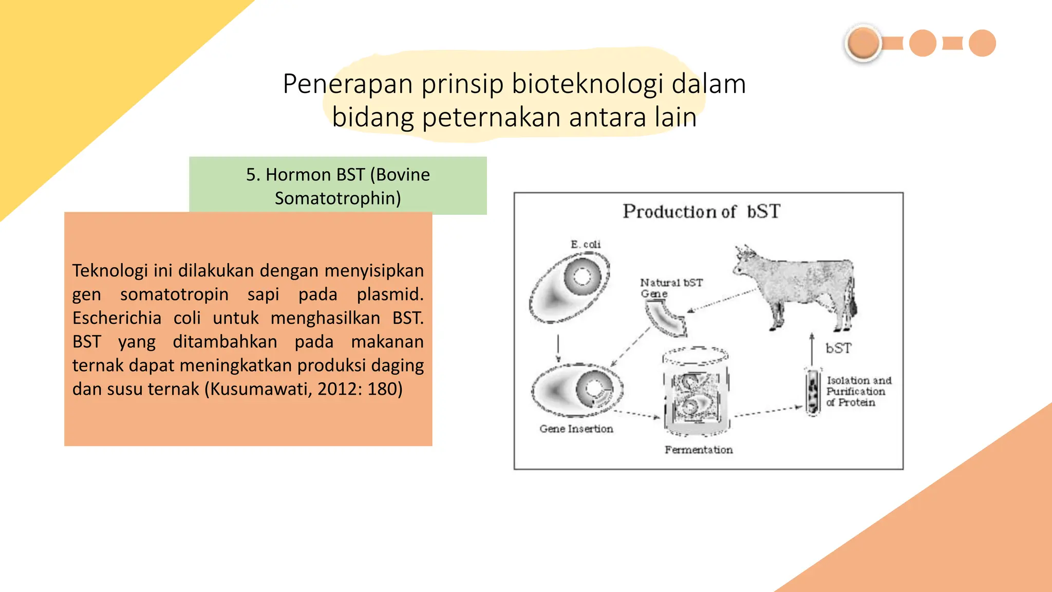 Bioteknologi Peternakan Salah satu Materi Biologi | PPTX