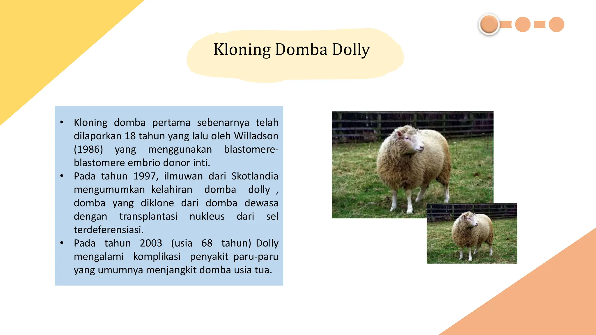 Bioteknologi Peternakan Salah satu Materi Biologi | PPTX