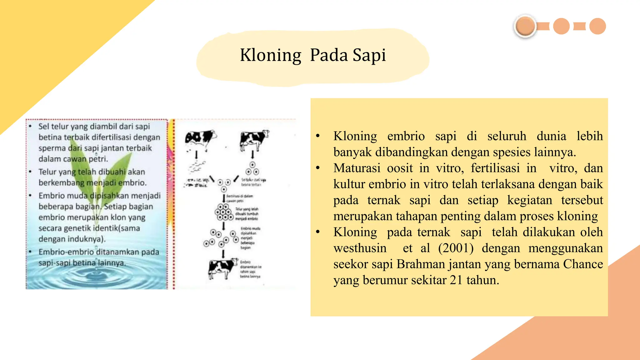 Bioteknologi Peternakan Salah satu Materi Biologi | PPTX