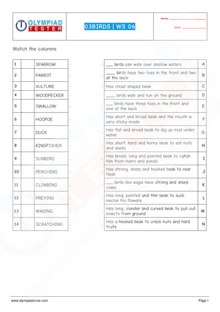 Class 3 Science Olympiad Sample paper on Birds - Set 01 | PDF