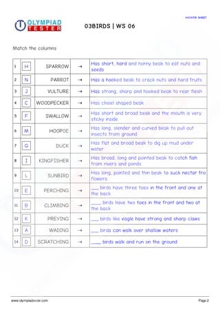 Class 3 Science Olympiad Sample paper on Birds - Set 01 | PDF