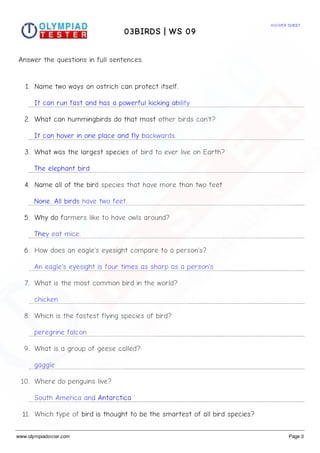 Class 3 Science Olympiad Sample paper on Birds - Set 01 | PDF