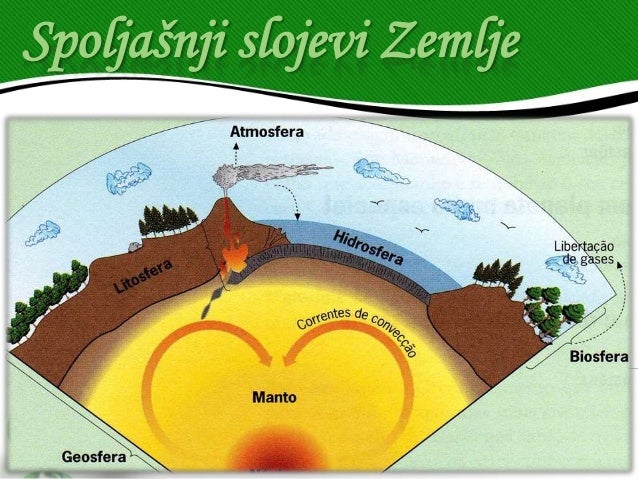 Bjanka Tijodorović - Ekologija