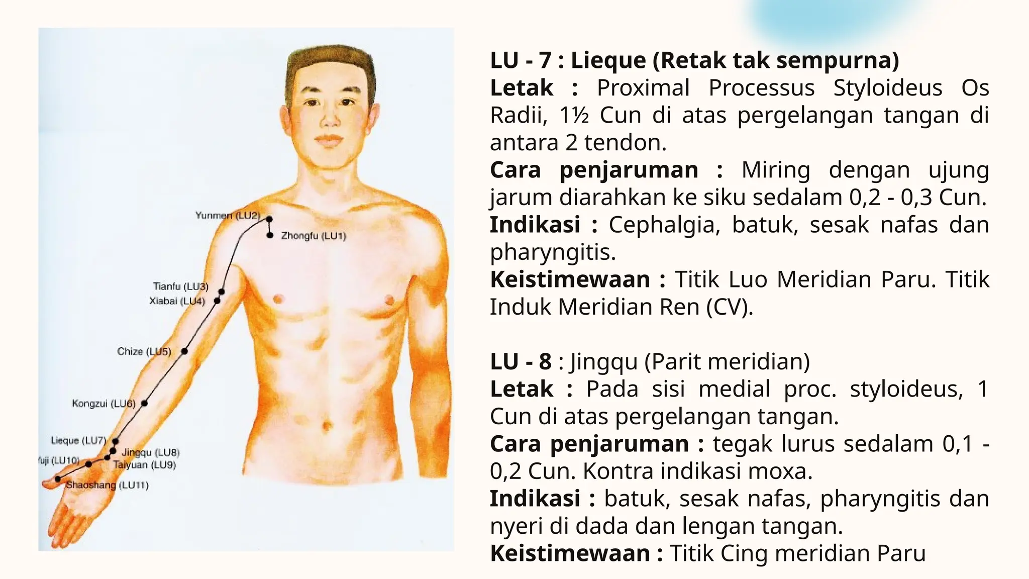 3B KEPERAWATAN KELOMPOK 1 (MERIDIAN PARU).pptx