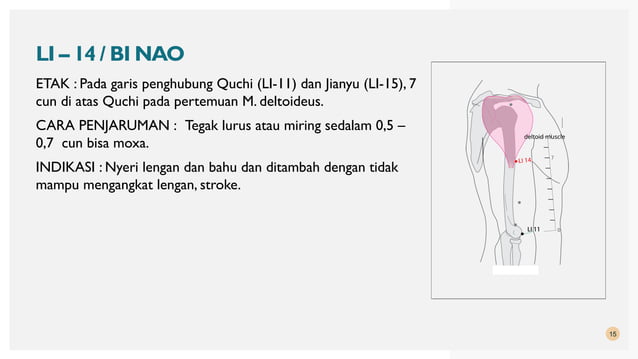 3B KEPWT KELOMPOK 2 TITIK AKUPUNTUR .pptx