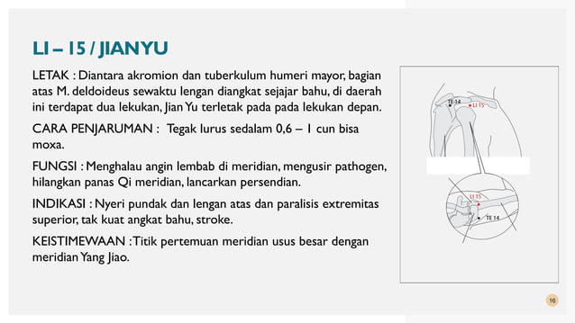 3B KEPWT KELOMPOK 2 TITIK AKUPUNTUR .pptx