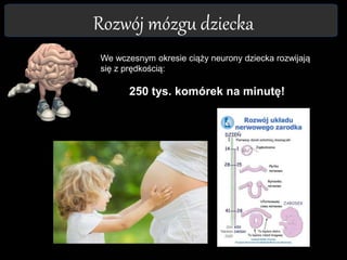 Krzysztof Grabarek 3B | PPT