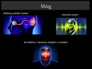 Krzysztof Grabarek 3B | PPT