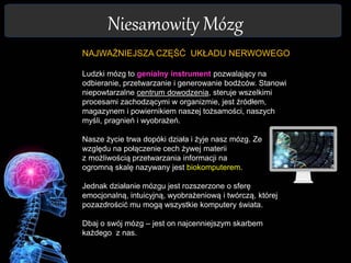 Krzysztof Grabarek 3B | PPT