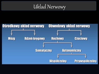 Krzysztof Grabarek 3B | PPT