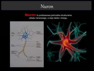 Krzysztof Grabarek 3B | PPT