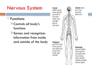 3body system.pptx hap-1-unit-1 Types of Body System | PPTX