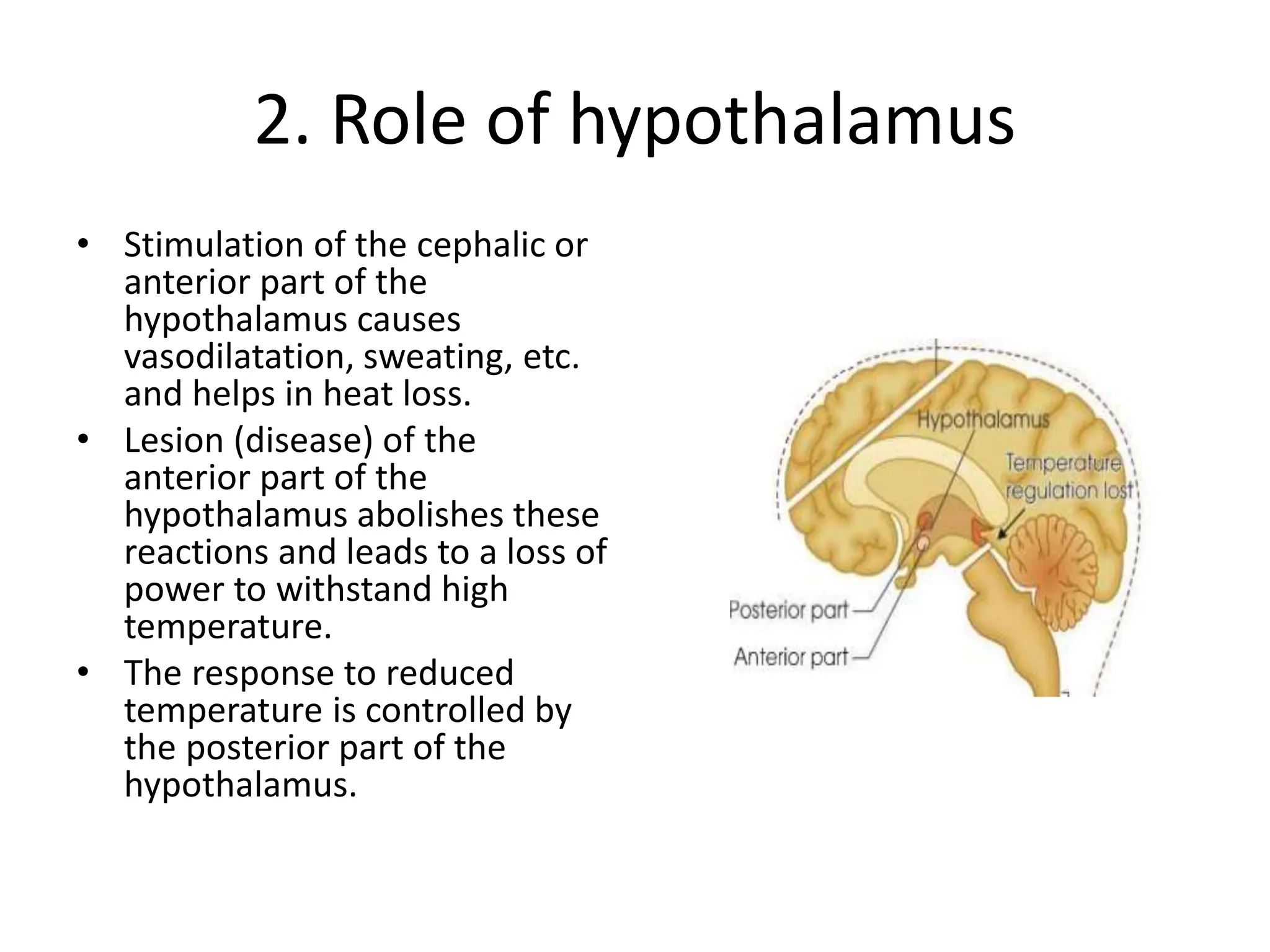 BODY TEMPERATURE AND ITS REGULATION.pptx