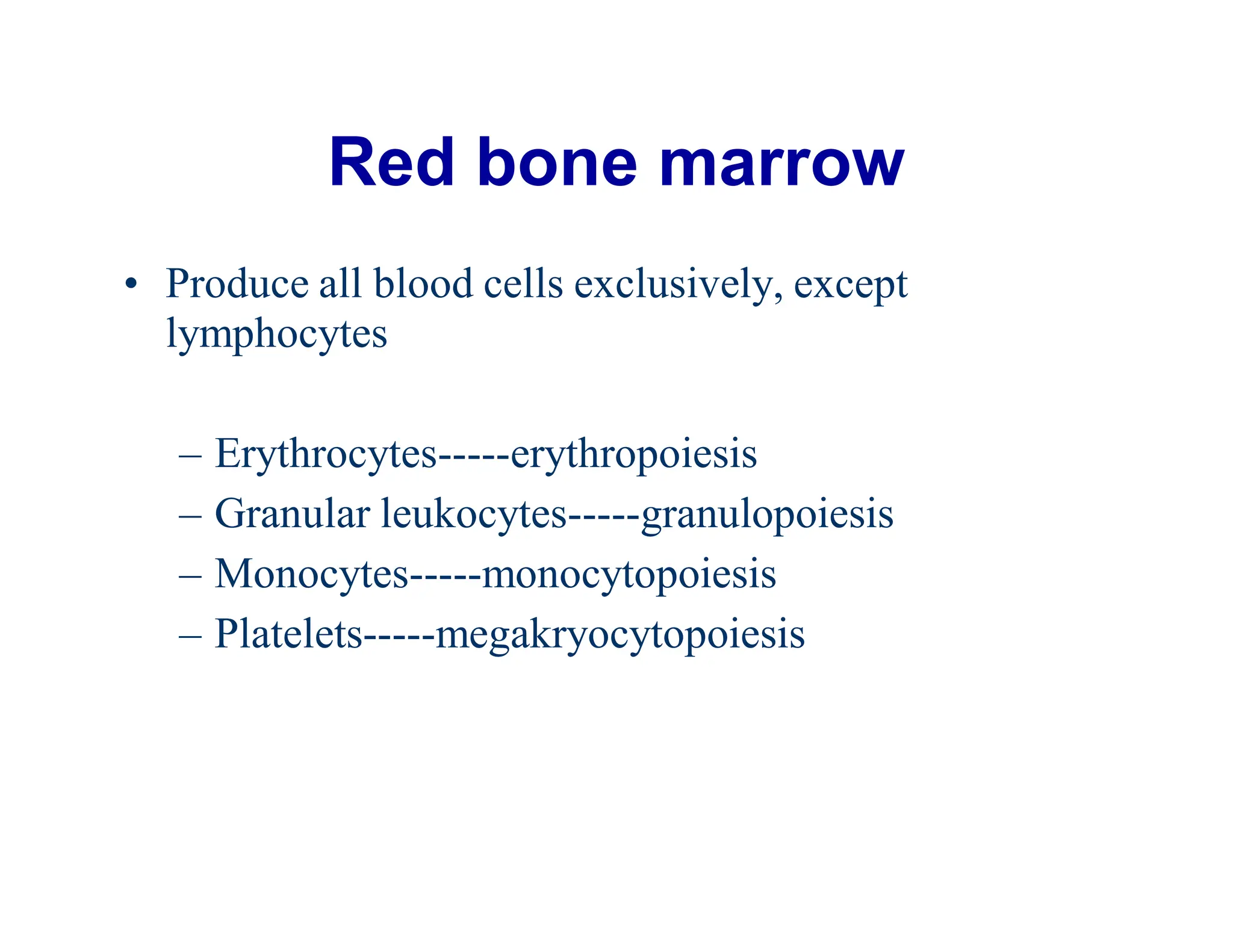 #3 Bones Marrow [Compatibility Mode].pdf