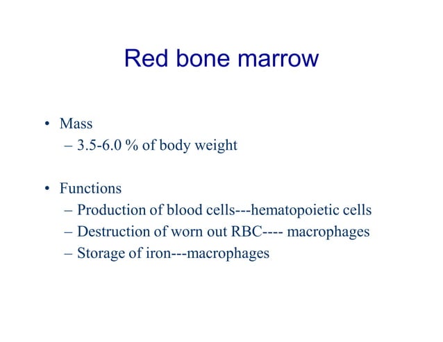 #3 Bones Marrow [Compatibility Mode].pdf