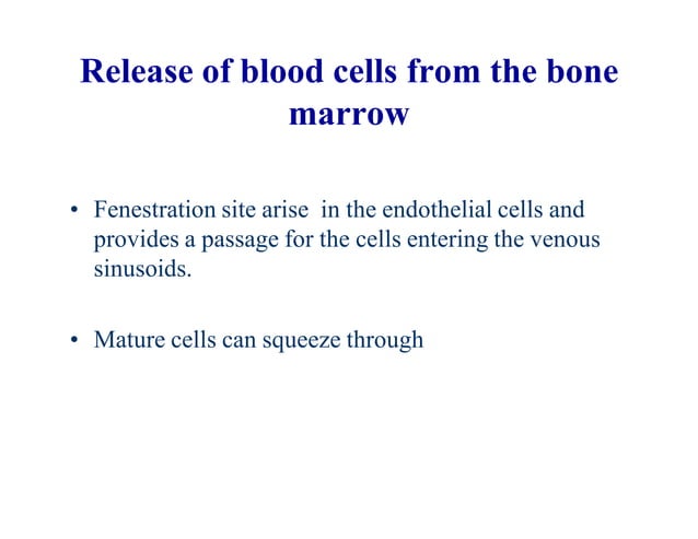 #3 Bones Marrow [Compatibility Mode].pdf