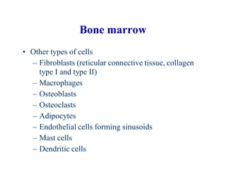 #3 Bones Marrow [Compatibility Mode].pdf