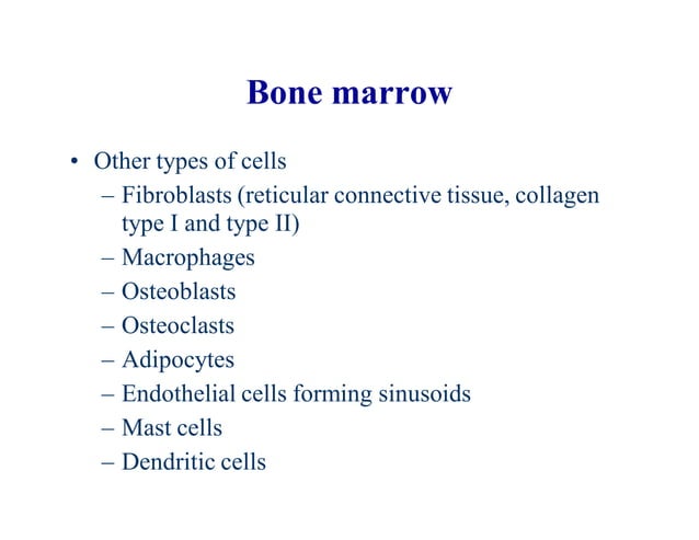 #3 Bones Marrow [Compatibility Mode].pdf