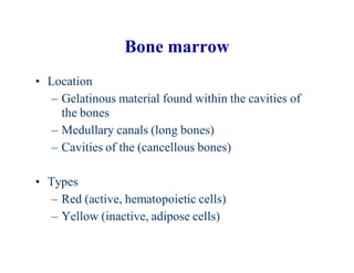 #3 Bones Marrow [Compatibility Mode].pdf