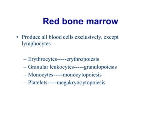#3 Bones Marrow [Compatibility Mode].pdf