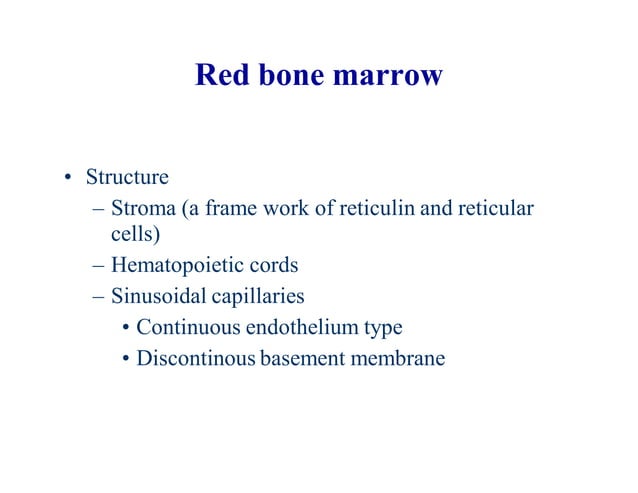 #3 Bones Marrow [Compatibility Mode].pdf