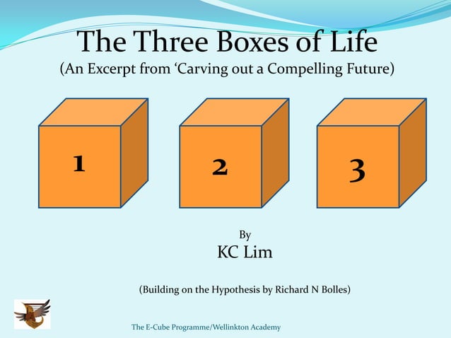 3 boxes of life final | PDF
