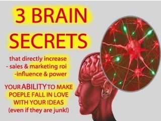 3 Brain/Mind MANIPULATION Secrets | PPTX