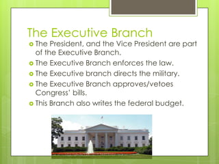 3 Branches of Government by Jack | PPTX