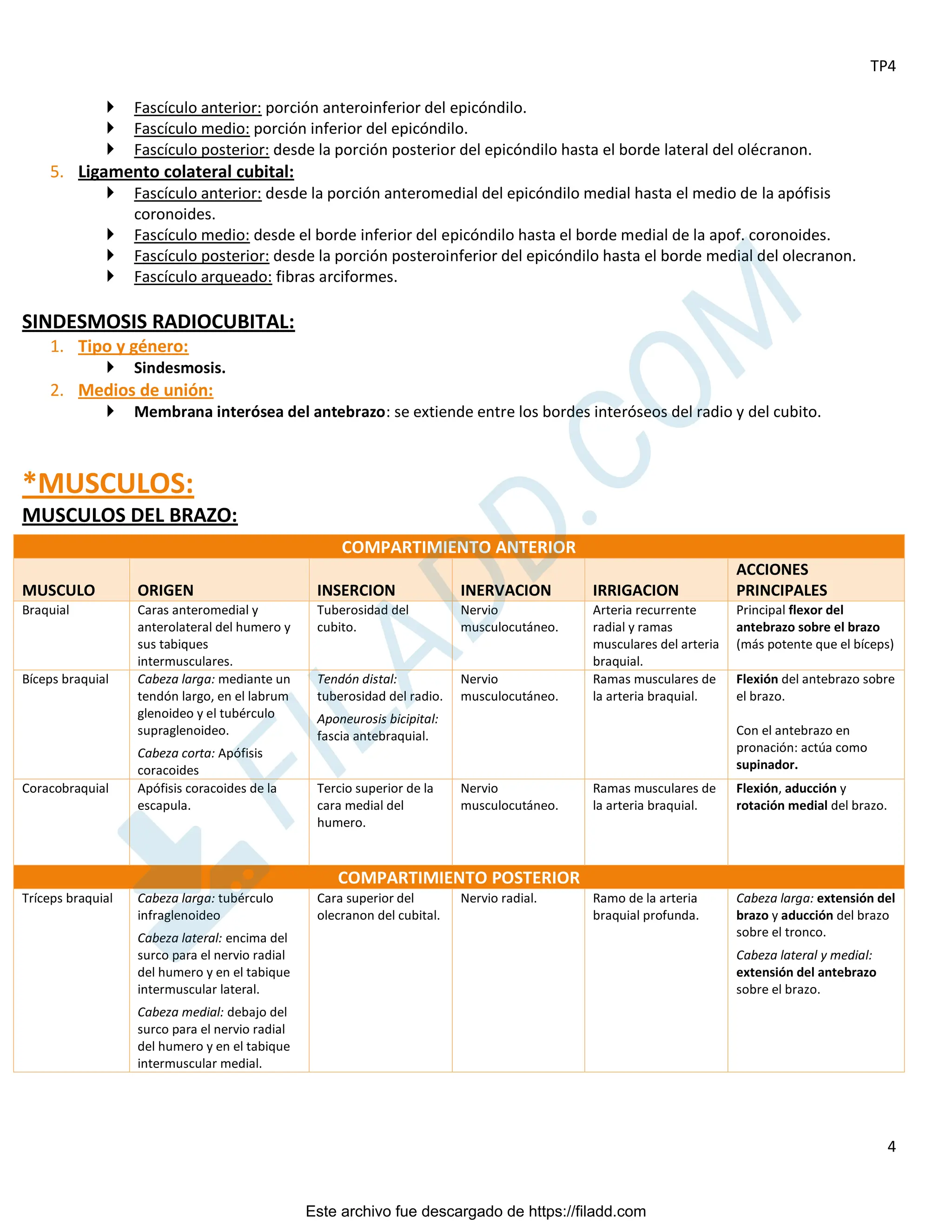 anatomia de brazo y antebrazo0000000.pdf