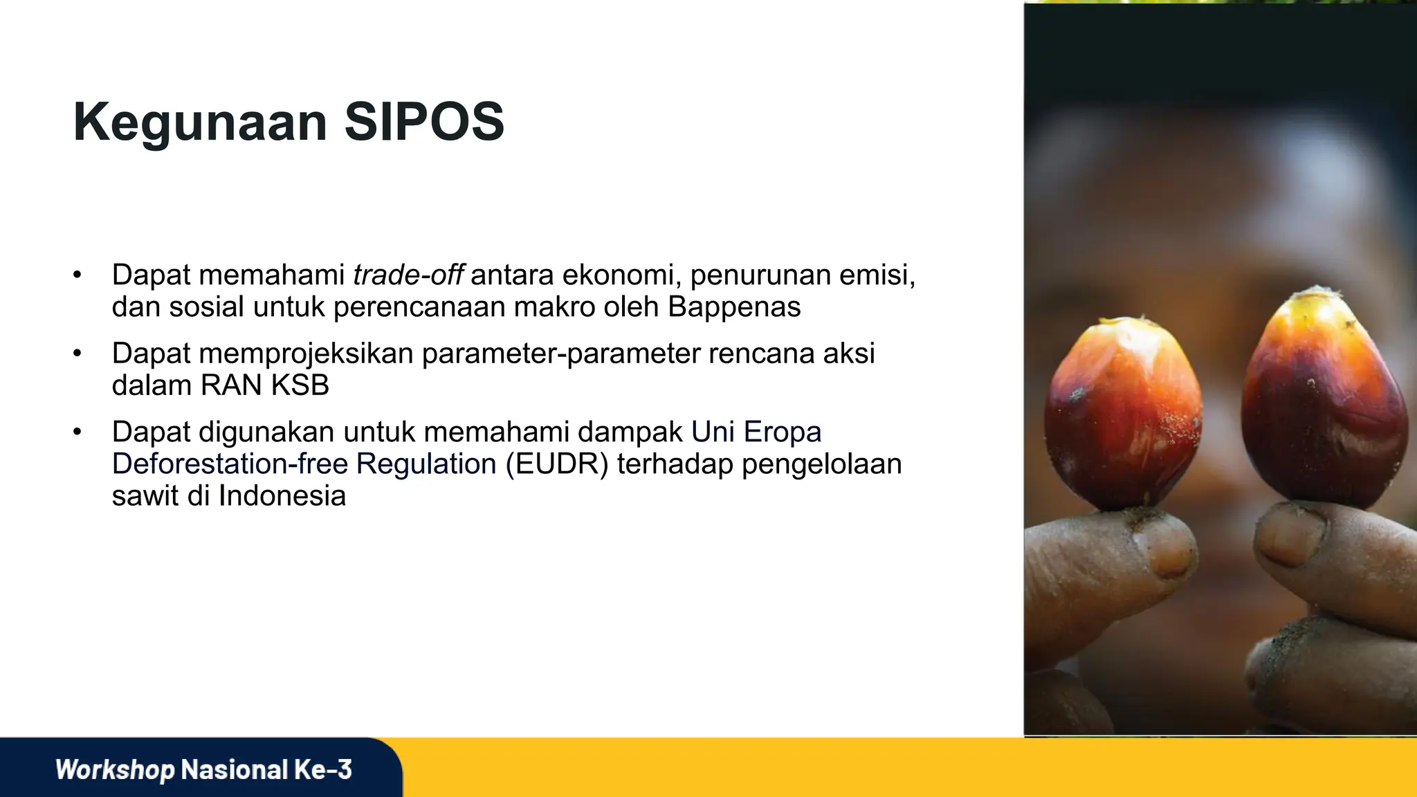 Simulation of Indonesian Palm Oil Sustainability (SIPOS) | PDF