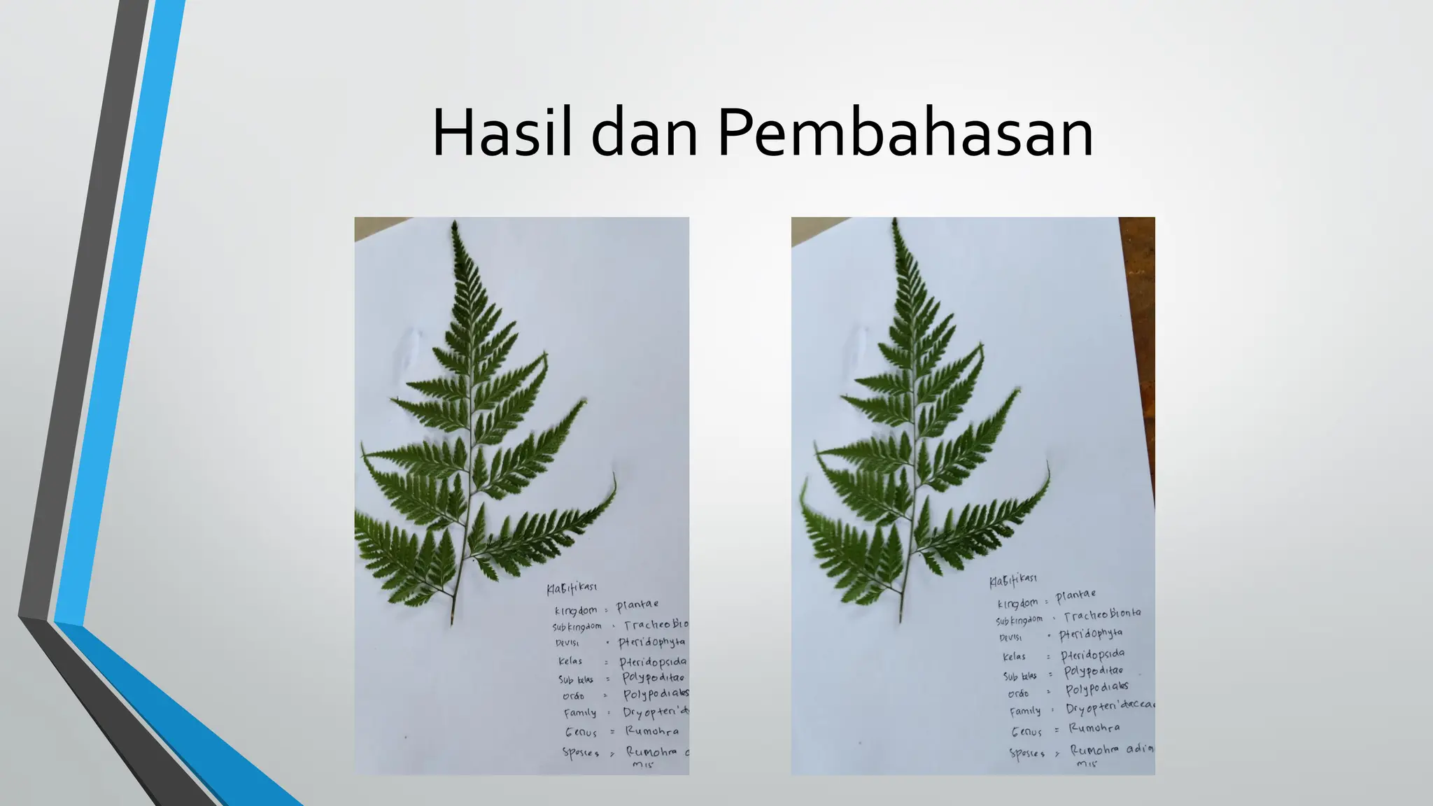 3c-39058-F-Rumini, S. P - Membuat awetan.pdf