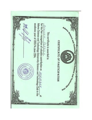 Temporary certification | PDF