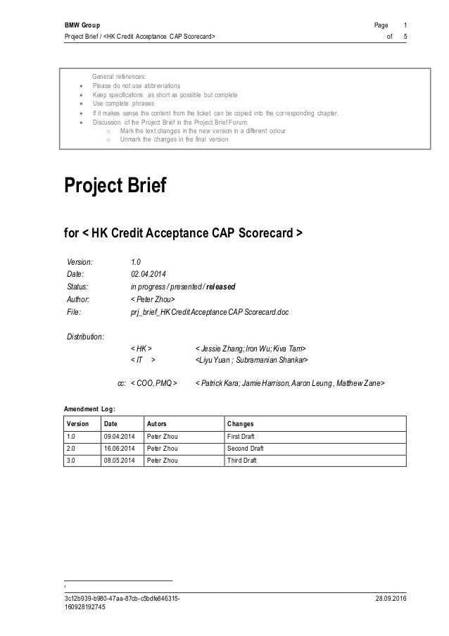 Example-Project Brief