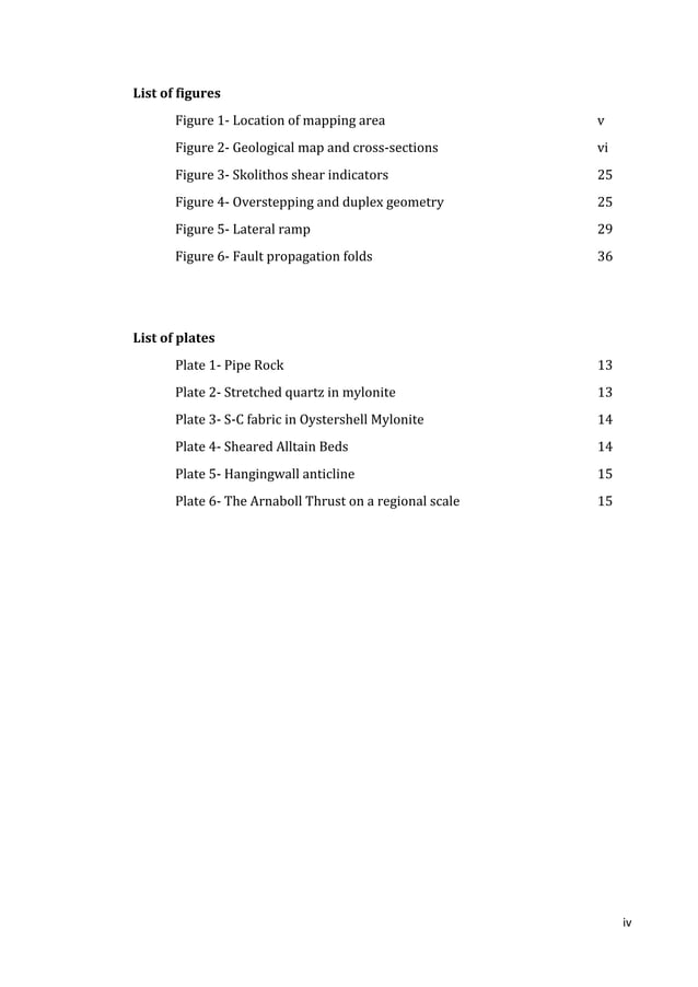 Thesis BSc Geology.docx