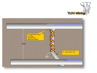 TLOU MINING-Business Profile Drop Invert | PPT
