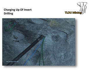 TLOU MINING-Business Profile Drop Invert | PPT
