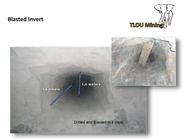 TLOU MINING-Business Profile Drop Invert | PPT