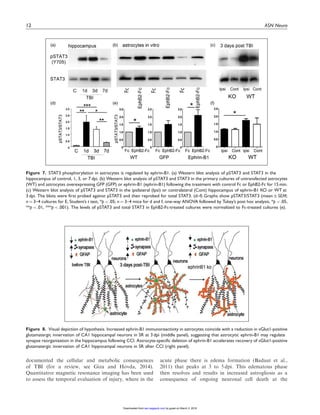 ASN Neuro-2016-Nikolakopoulou- | PDF