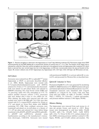 ASN Neuro-2016-Nikolakopoulou- | PDF