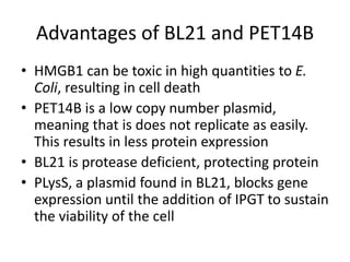 DNA Cloning and Expression of HMGB1 in E. Coli | PPT