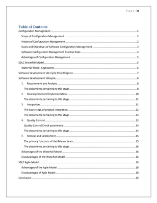 Configuration Management Report | DOCX